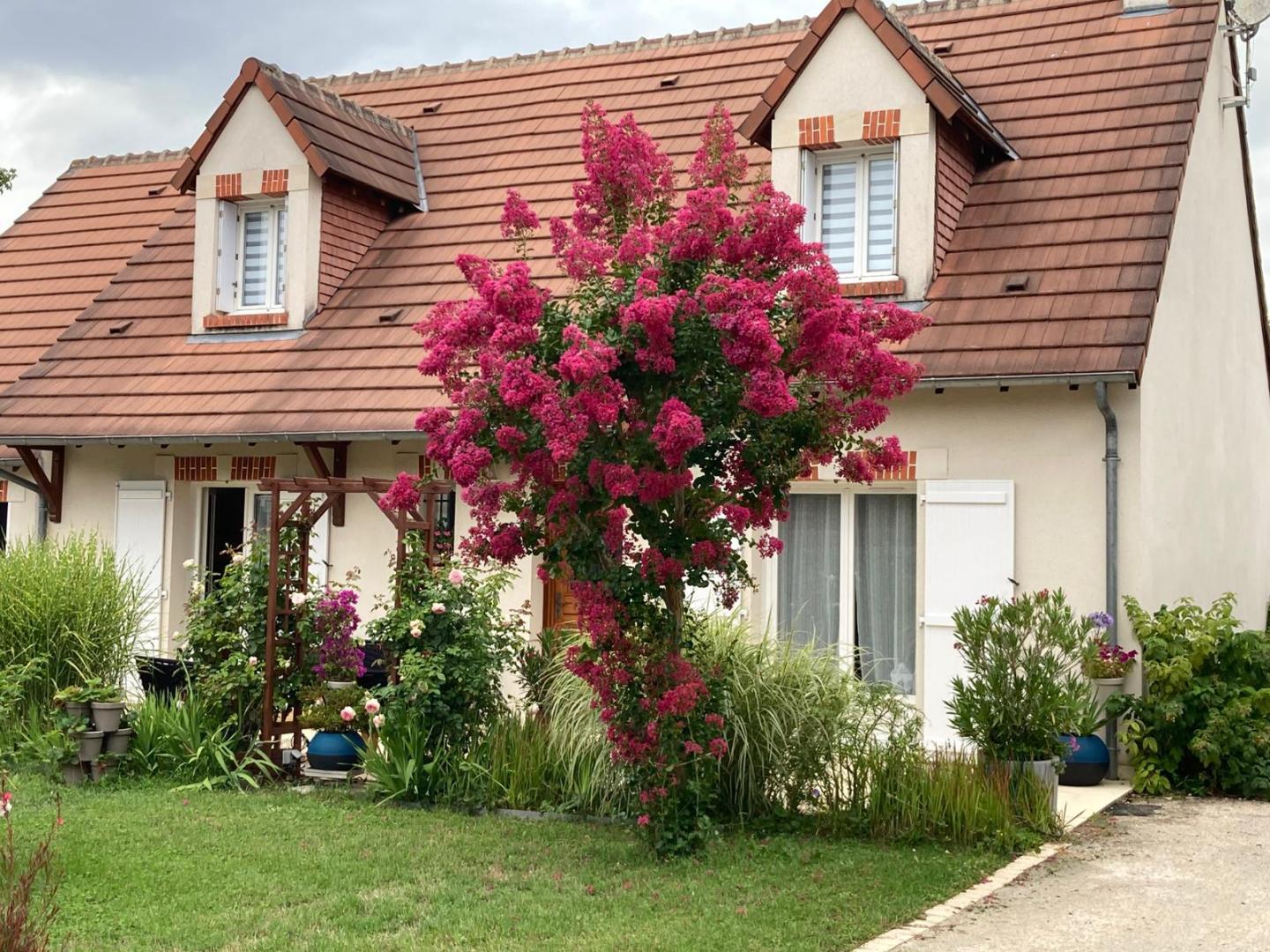 Chambre d'hôtes n°41G10439 Etap'châteaux à Cheverny - Gîtes de France ...